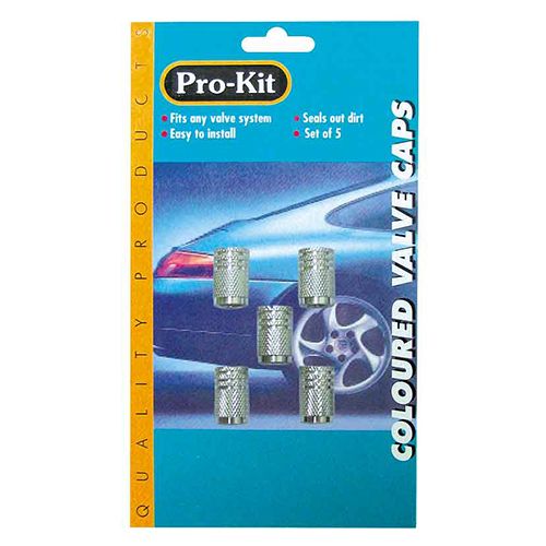 RG9120S-VALVE CAPS - 5pc ANODIZED SILVER - Buy Car Parts & Accessories ...